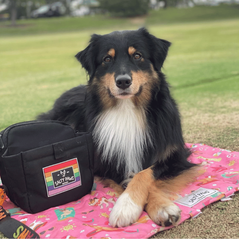 Dog Settle Mats for Travel and Training – Salty Paws Design