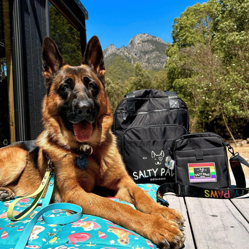 Bags – Salty Paws Design