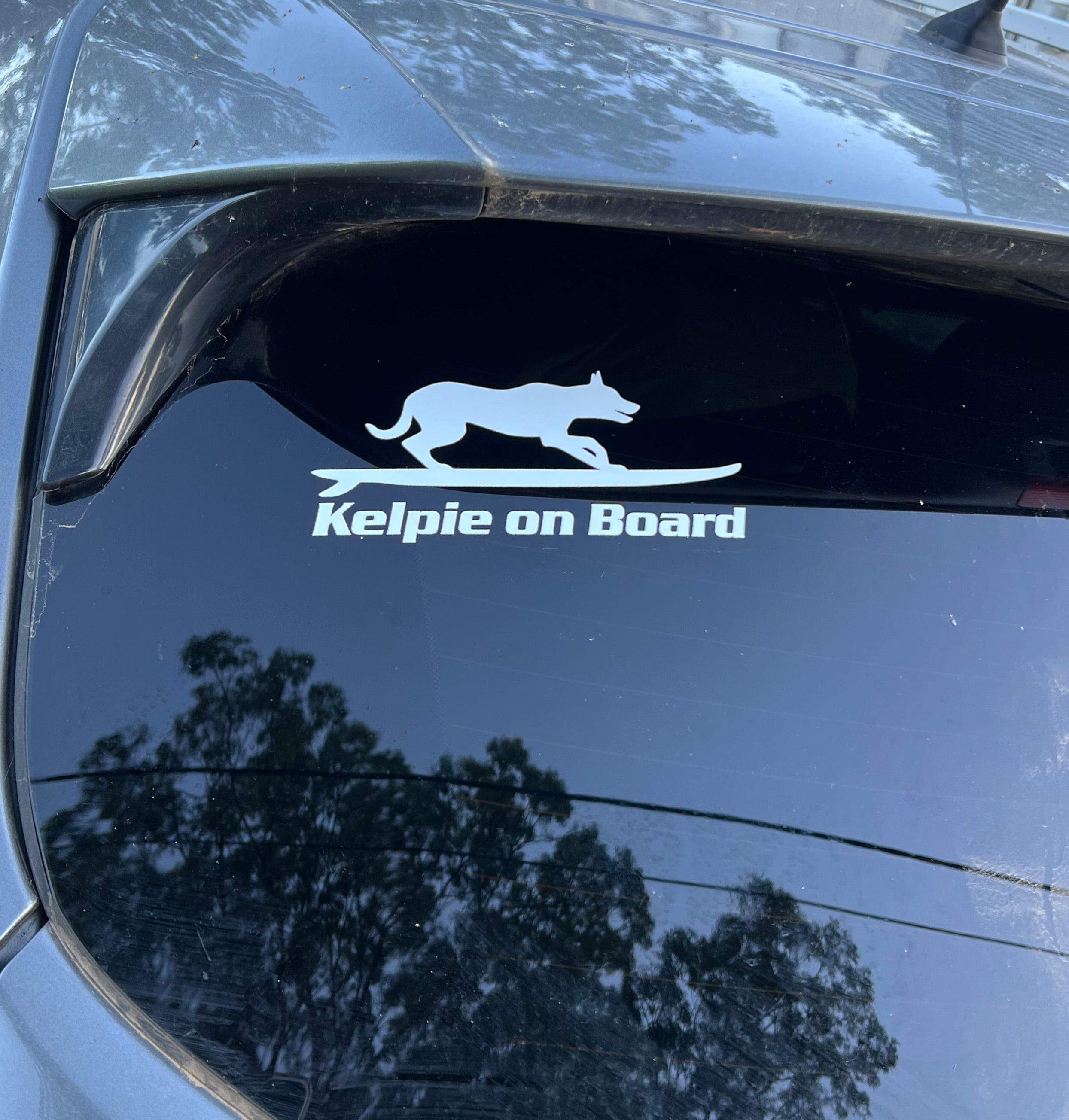 'Kelpie on Board' Decal – Salty Paws Design